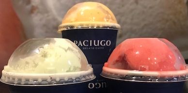 Catering, Gelato - Paciugo Gelato & Caffe - Saint Petersburg, Florida ...