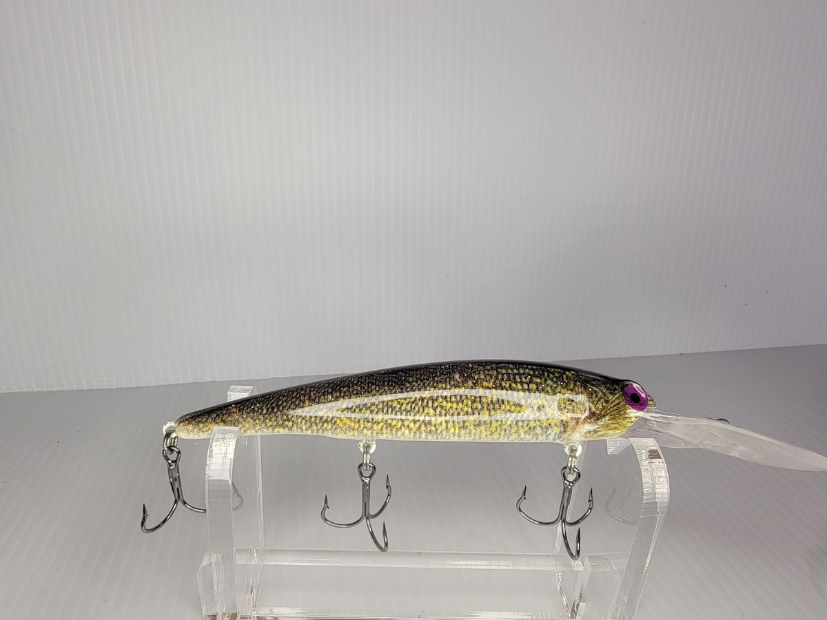 Dead Eye Baby Walleye