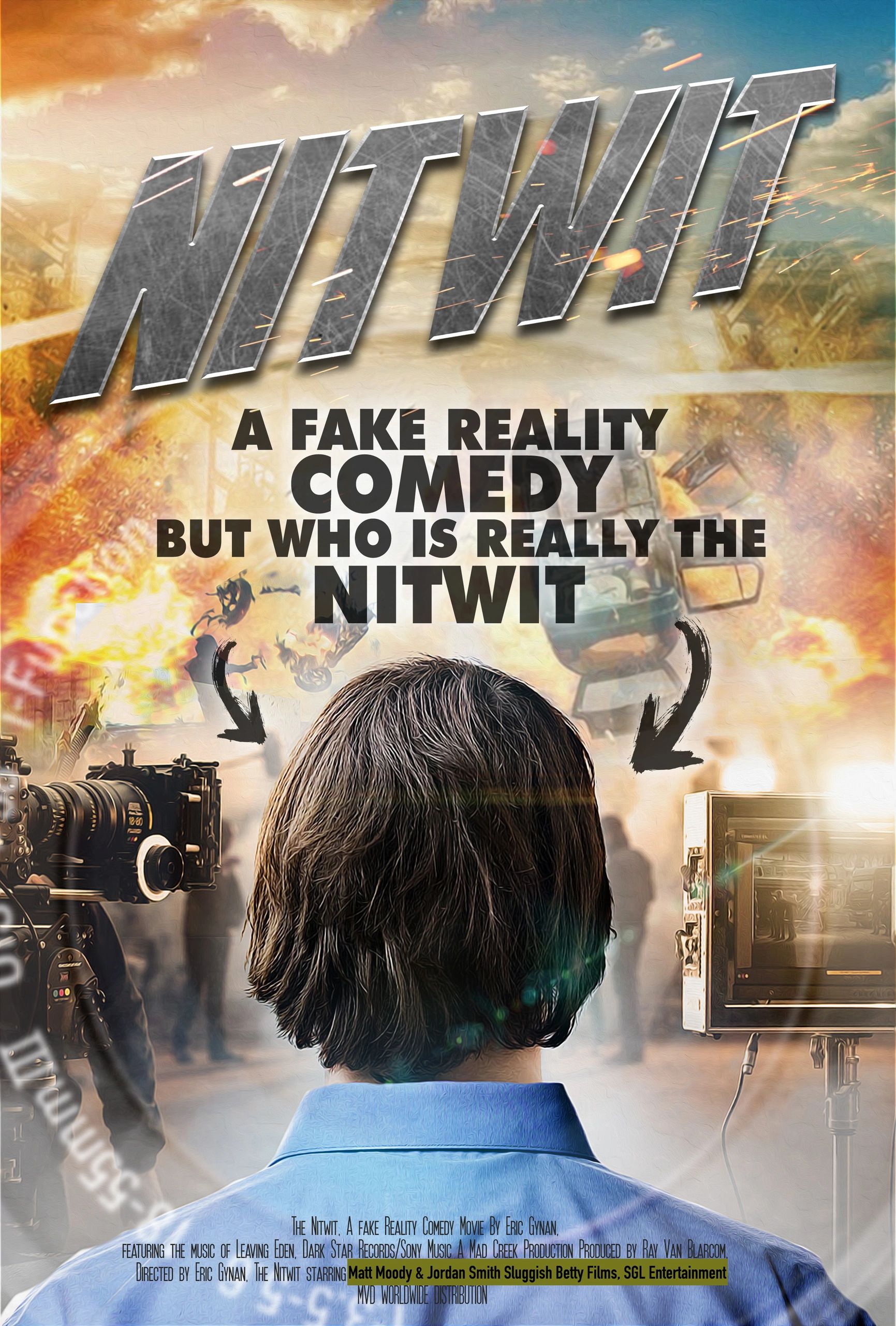 THE NITWIT MOVIE - Movie, Movie, Motion Picture, Motion Picture Film