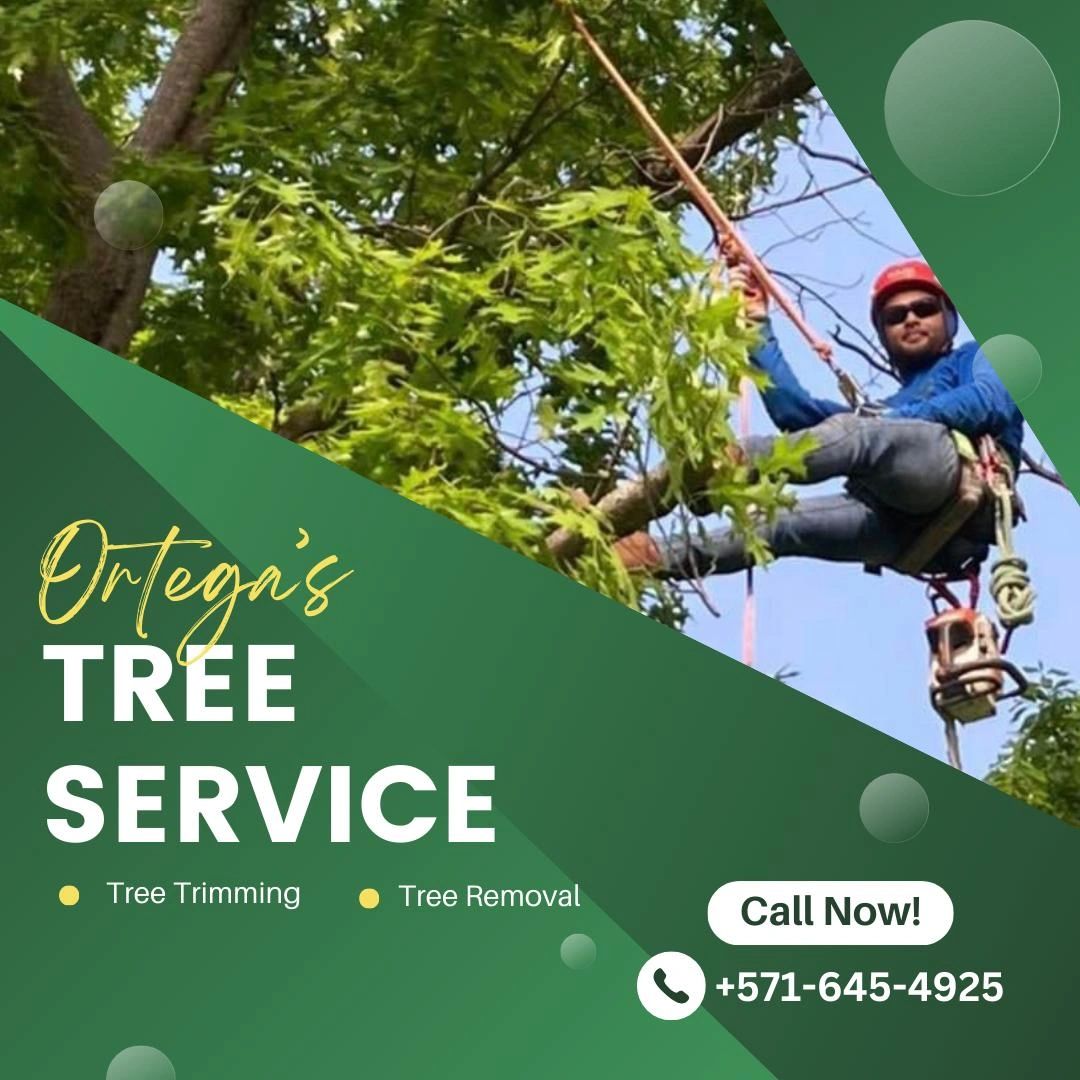 Ortega Tree Services