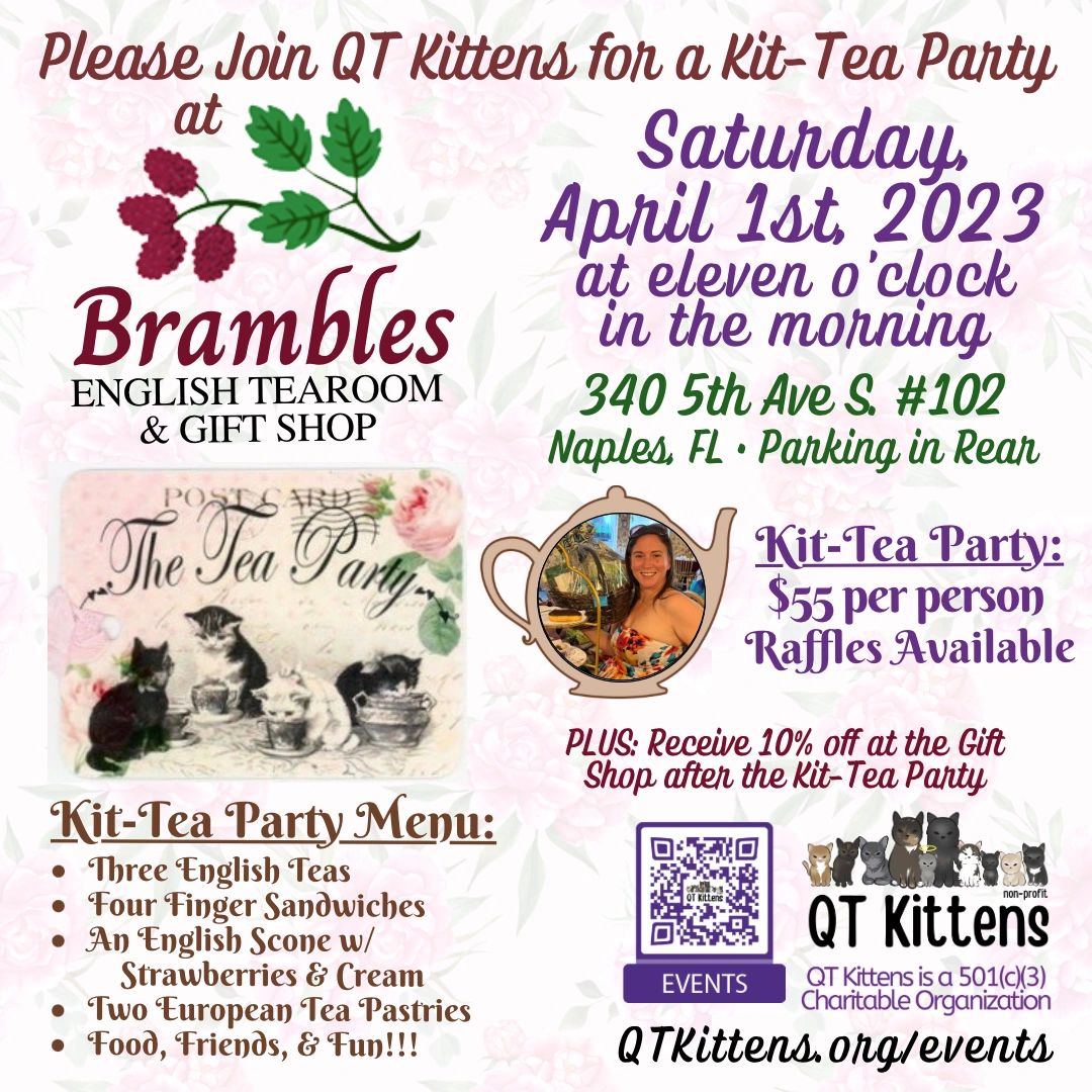 Cute Kittens - QT Kittens