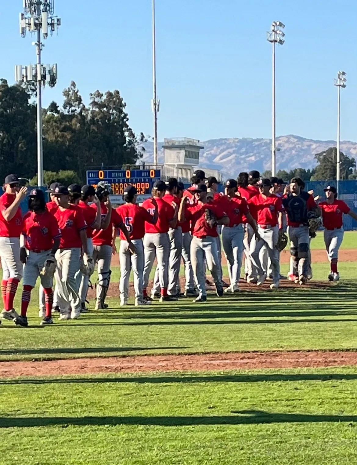 Solano Mudcats Baseball