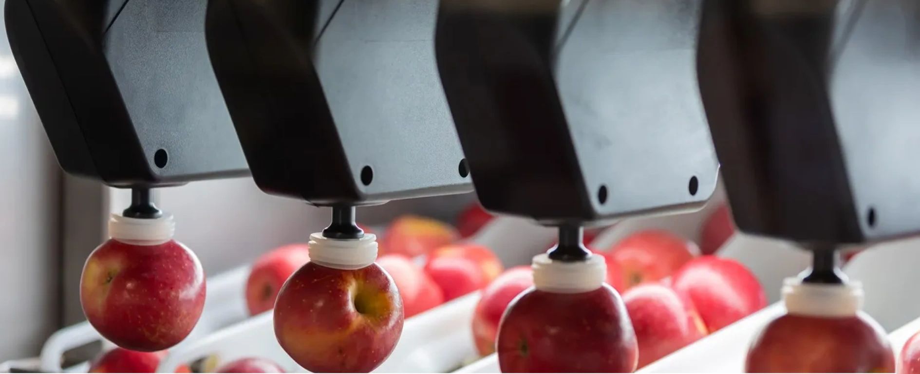 Robotics Plus Aporo Fruit Packer - Asia Robots Guide