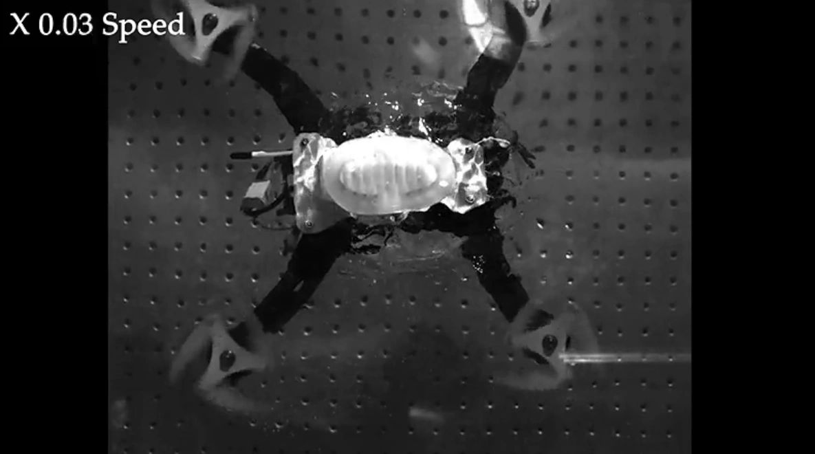 Ingenious fish-inspired drone can swim, fly, and hitchhike