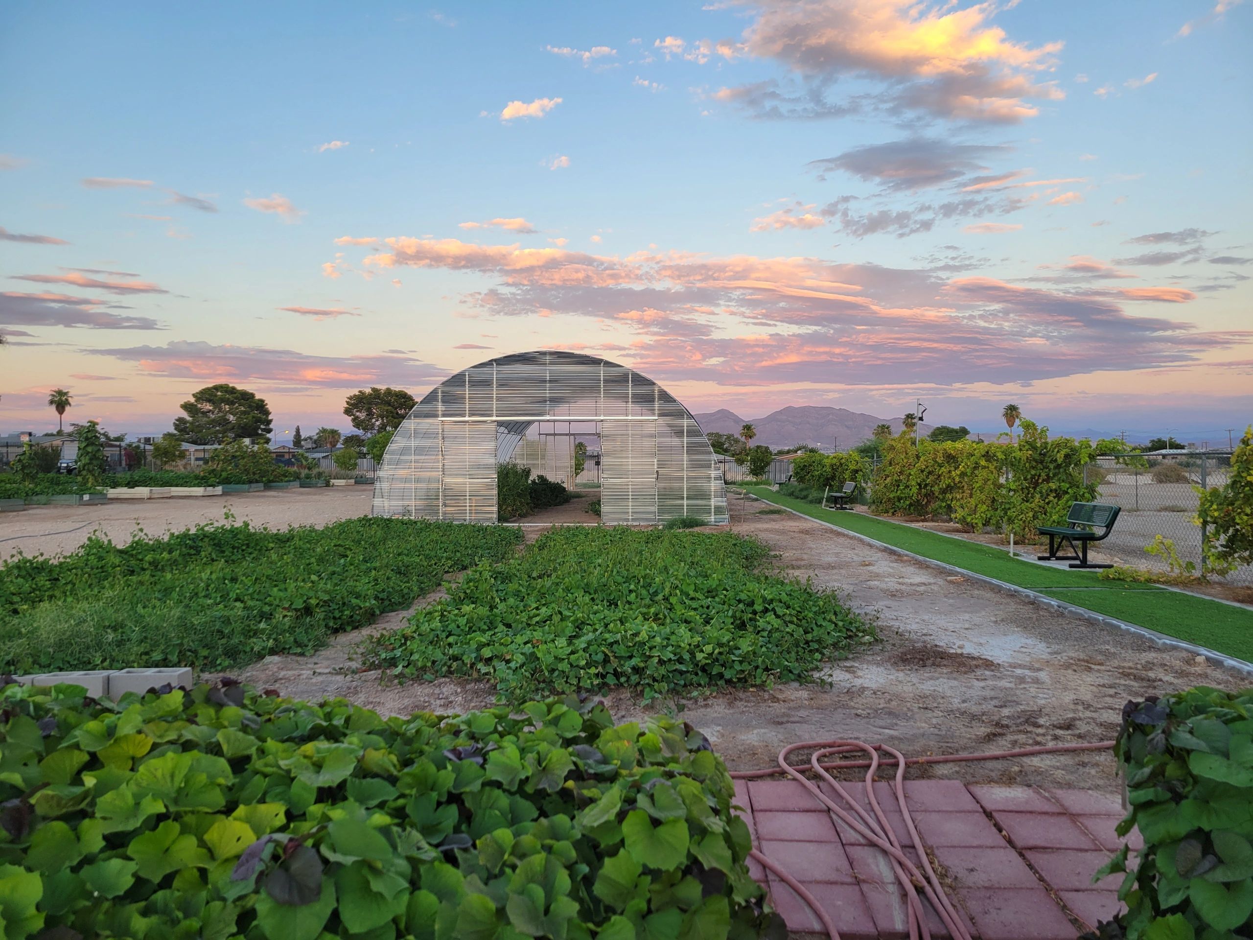 The Zion Urban Farm