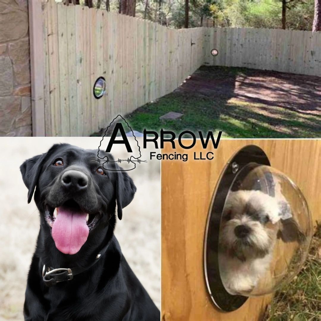 Celebrate #LoveYourPet Day with a Secure Fence from Arrow Fencing
