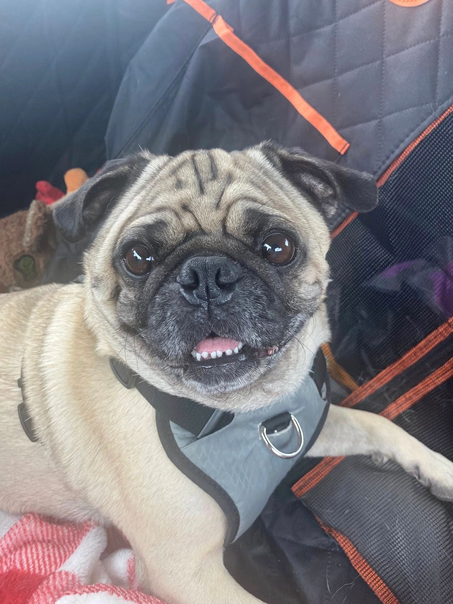 Tater