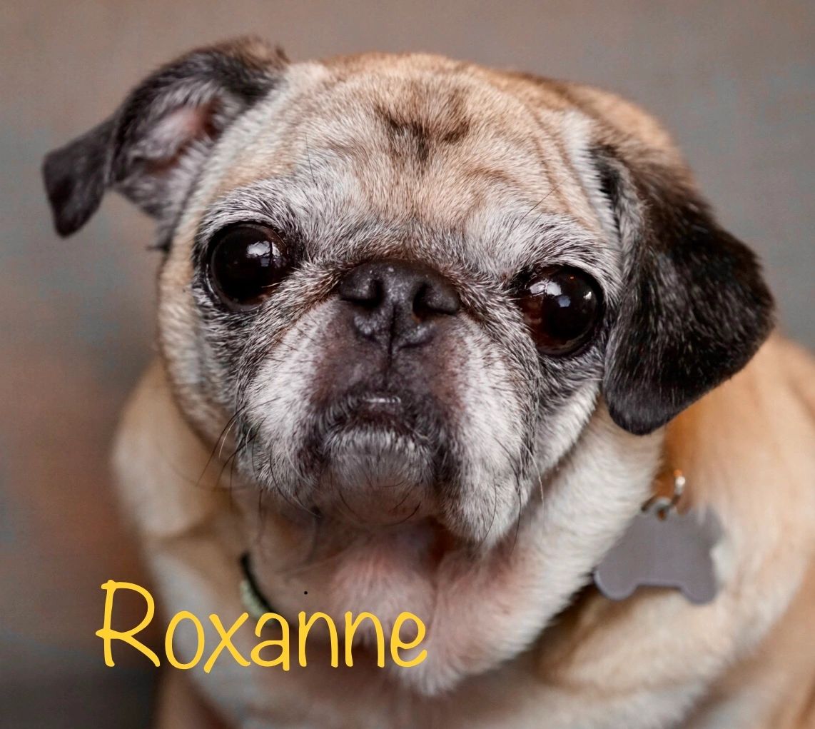 Roxanne