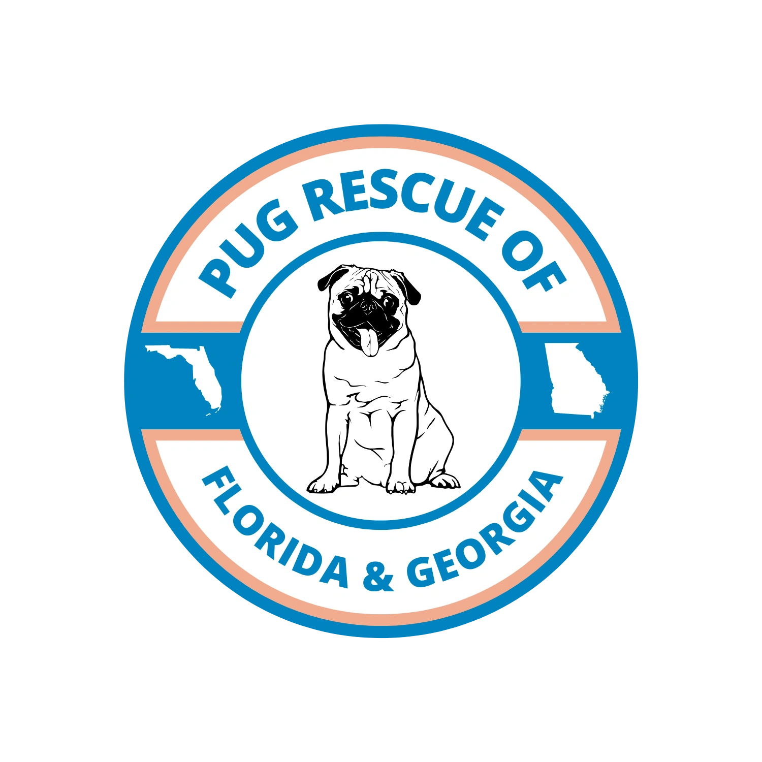 Pug Rescue of Florida & Georgia - Pug Rescue, Pugs for Adoption