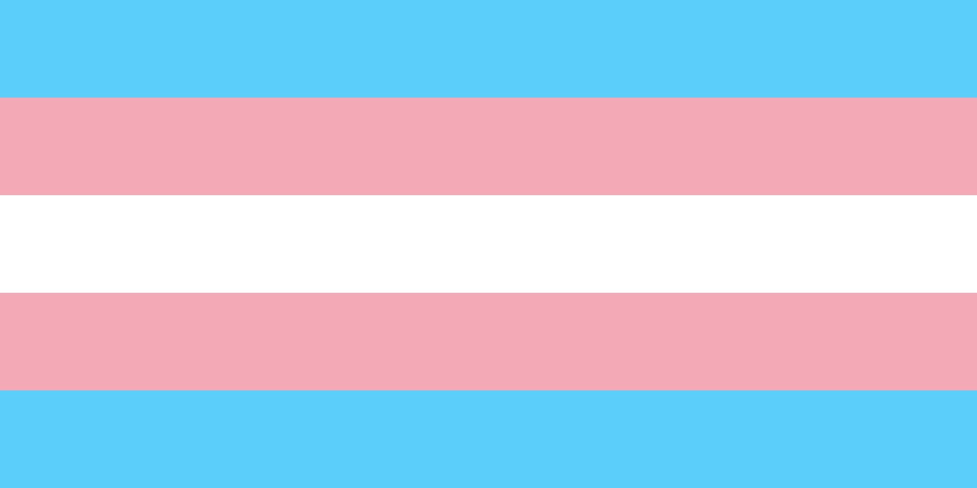 Trans Inclusion in Congregations (April 12, 2024)