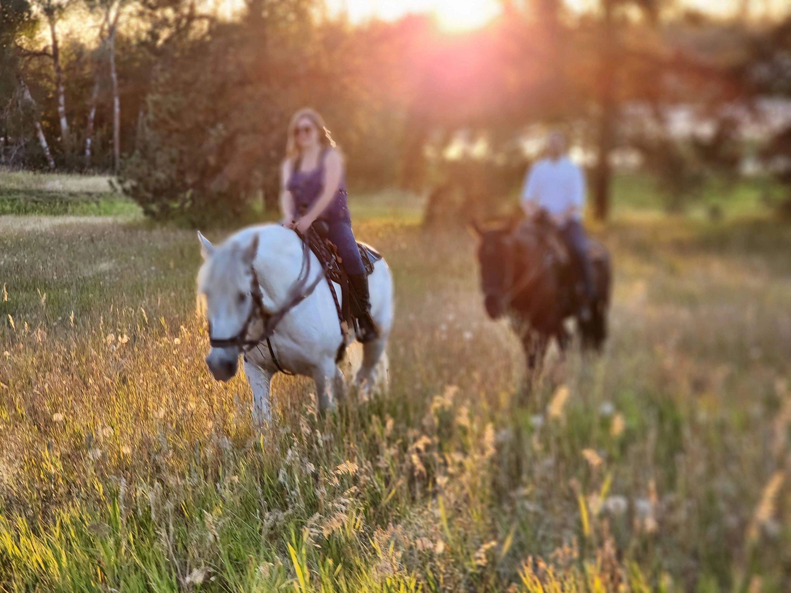 Spokane Trail Rides & Boarding