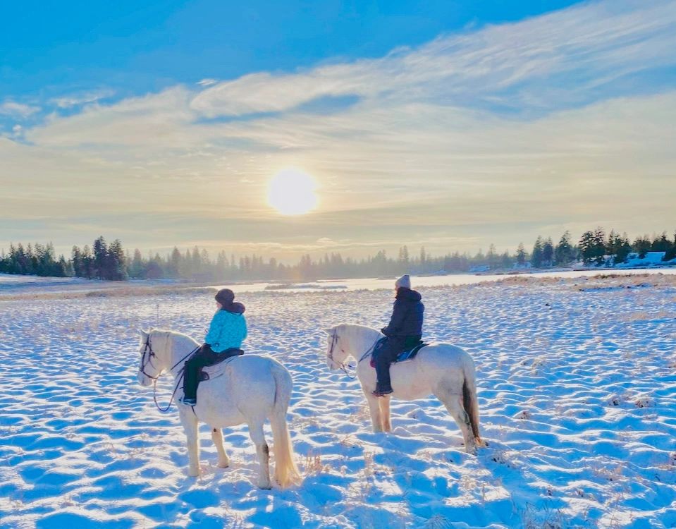 Spokane Trail Rides & Boarding