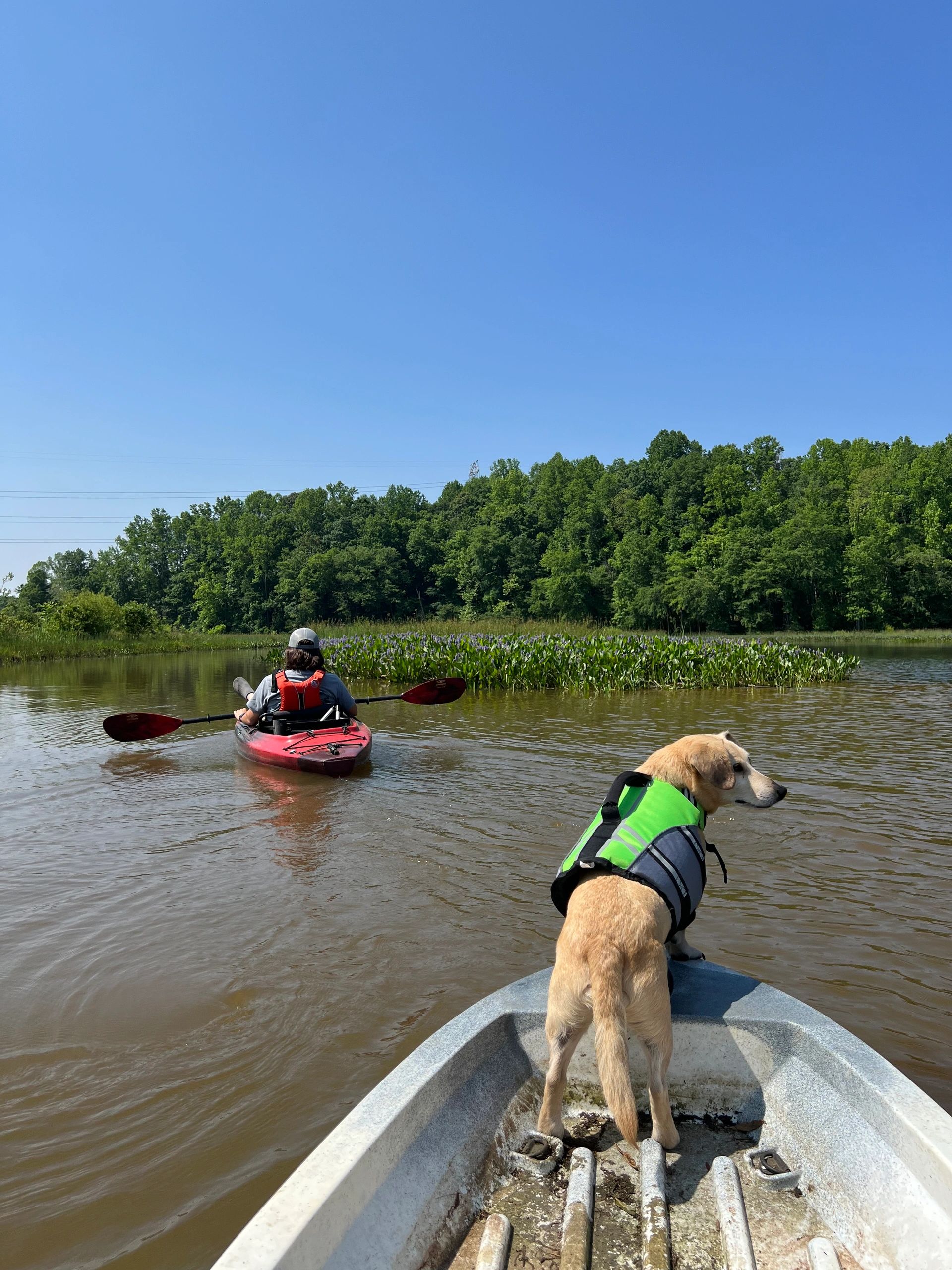 Up A Creek Kayaking