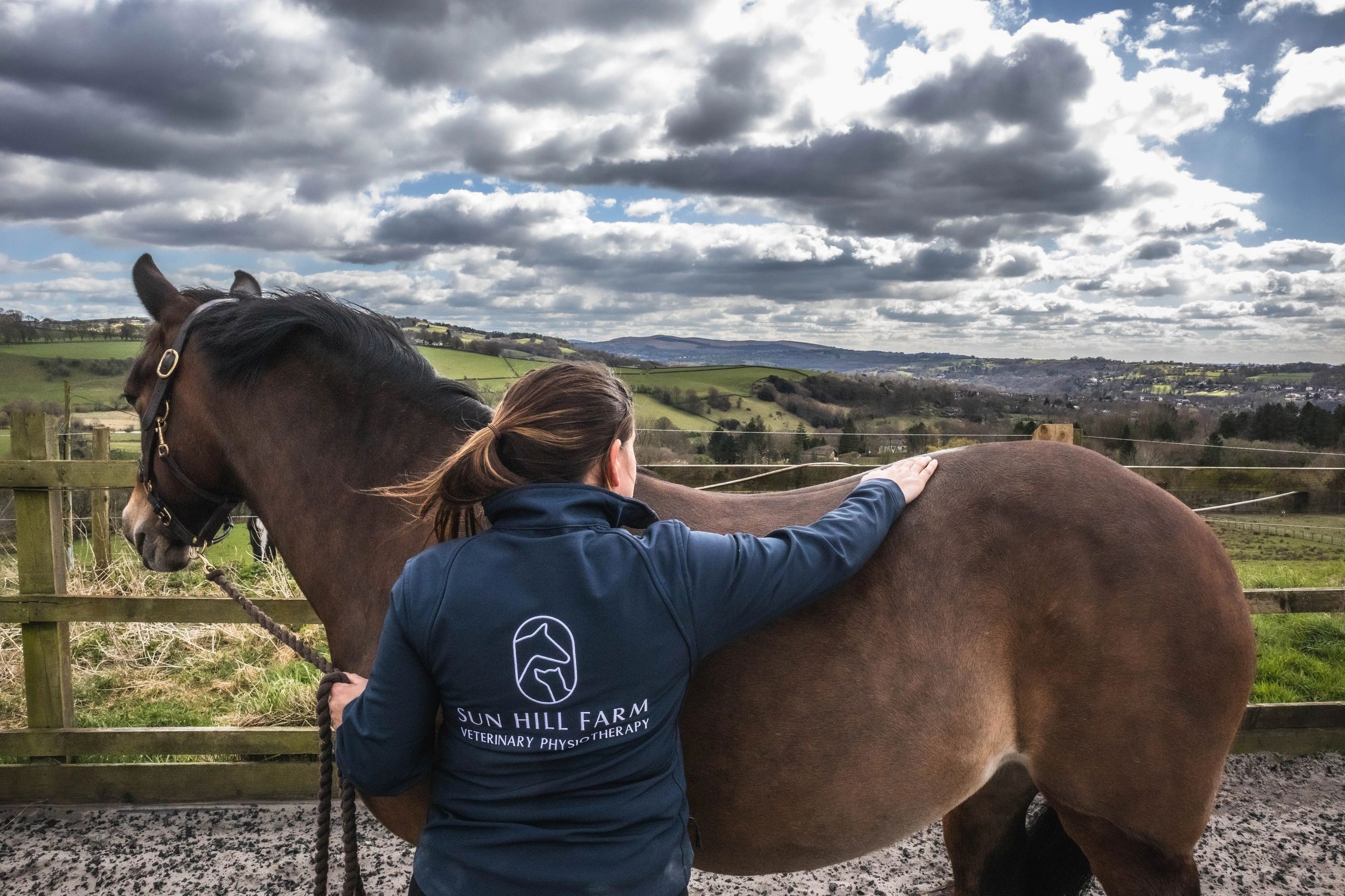 Sun Hill Farm Veterinary Physiotherapy