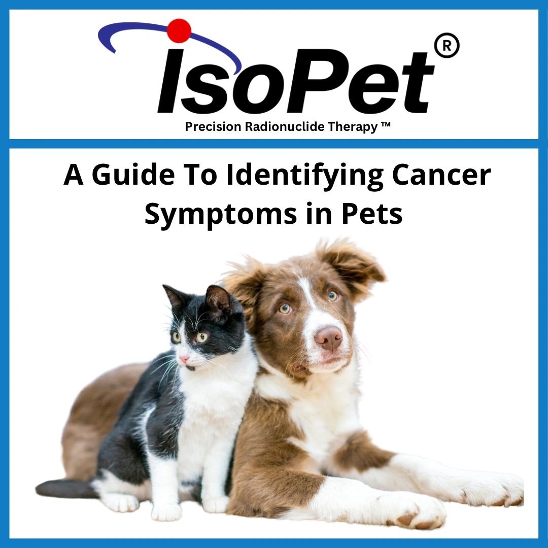A Guide to Identifying Cancer Symptoms in Pets