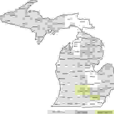 MichRIC® - MLS Help