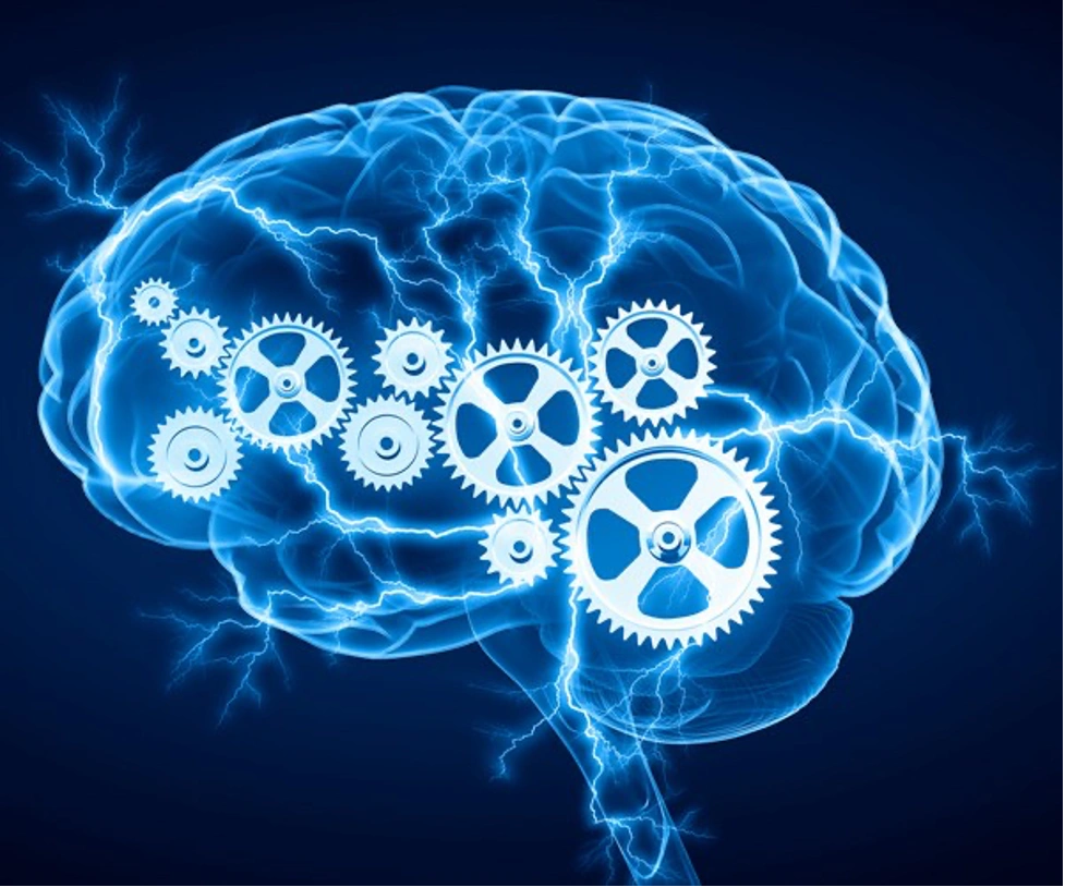 The Potential Future of Neuroscience Technology