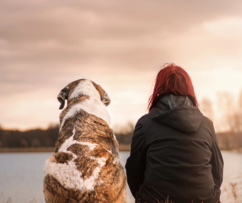 What Are the Best Dog Breeds for Introverts?