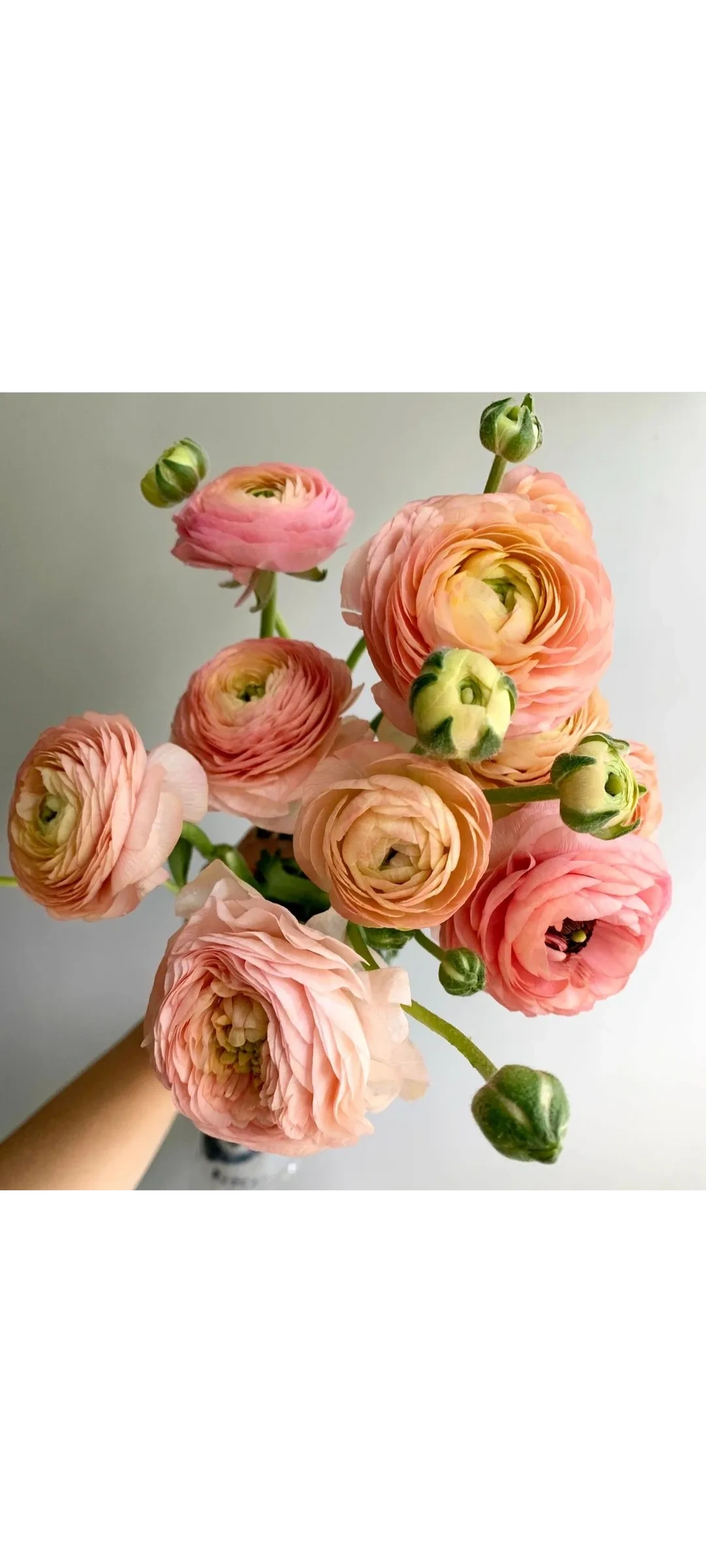 Local Florist for Every Occasion | Fond of Flowers