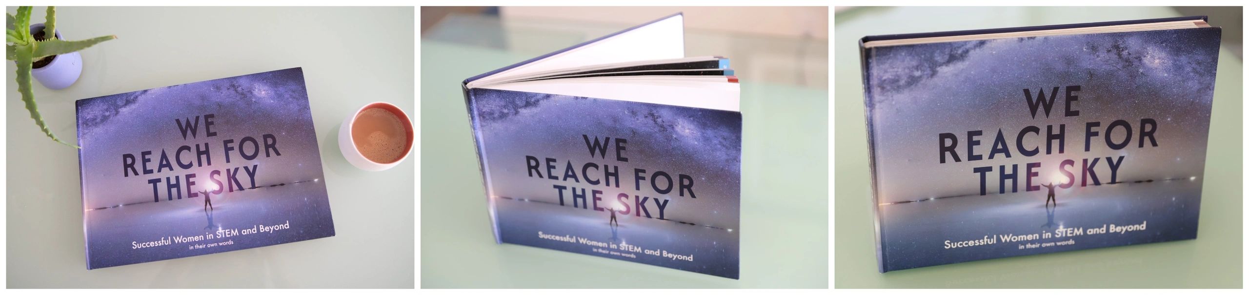 We Reach For The Sky - The Book