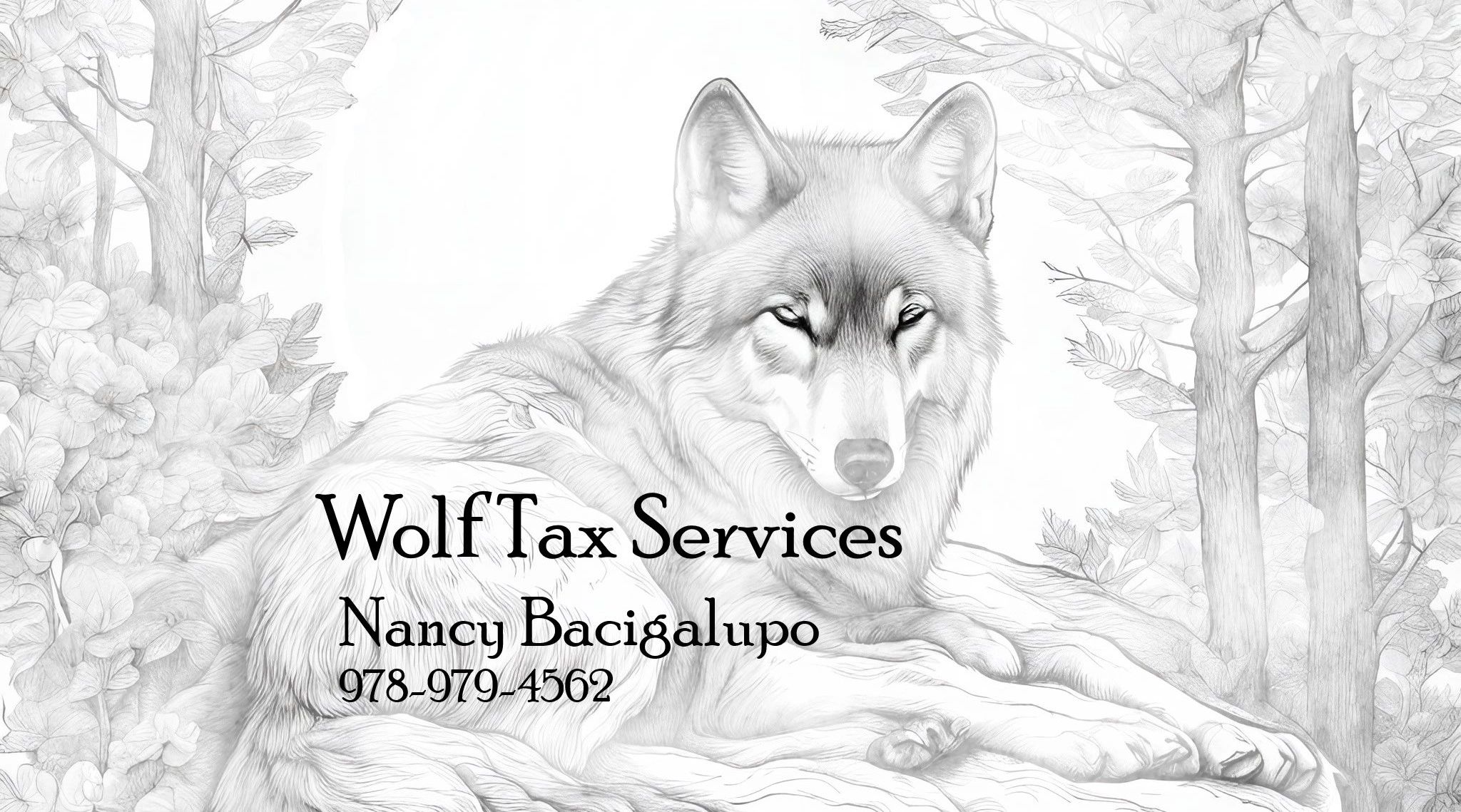 Protection Plus | Wolf Income Tax