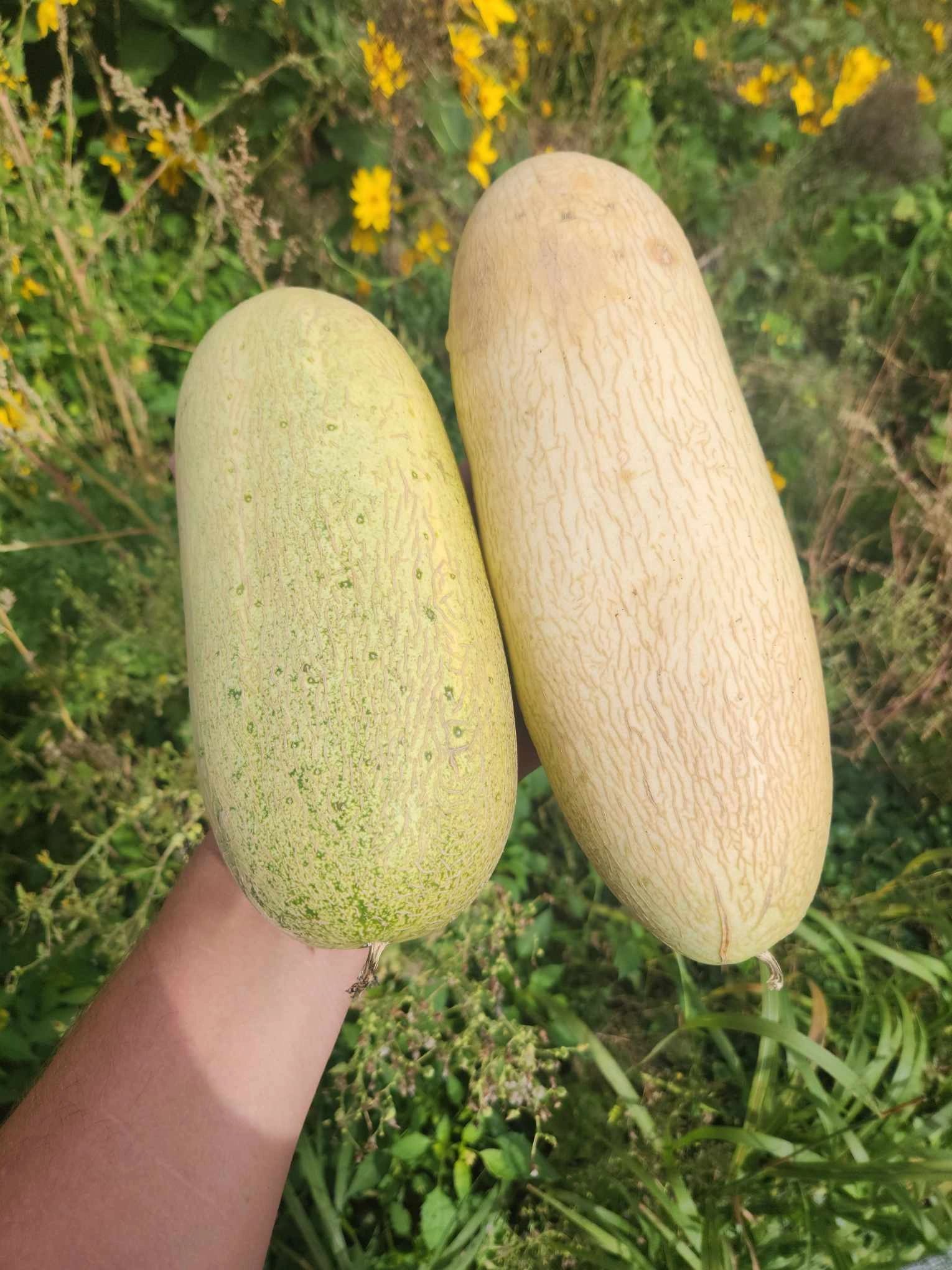 Hmong Cucumber Water: Dib Kaum