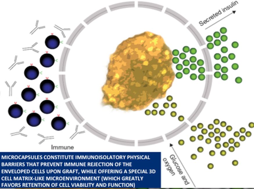 MICROENCAPSULATION | ALTUCELL