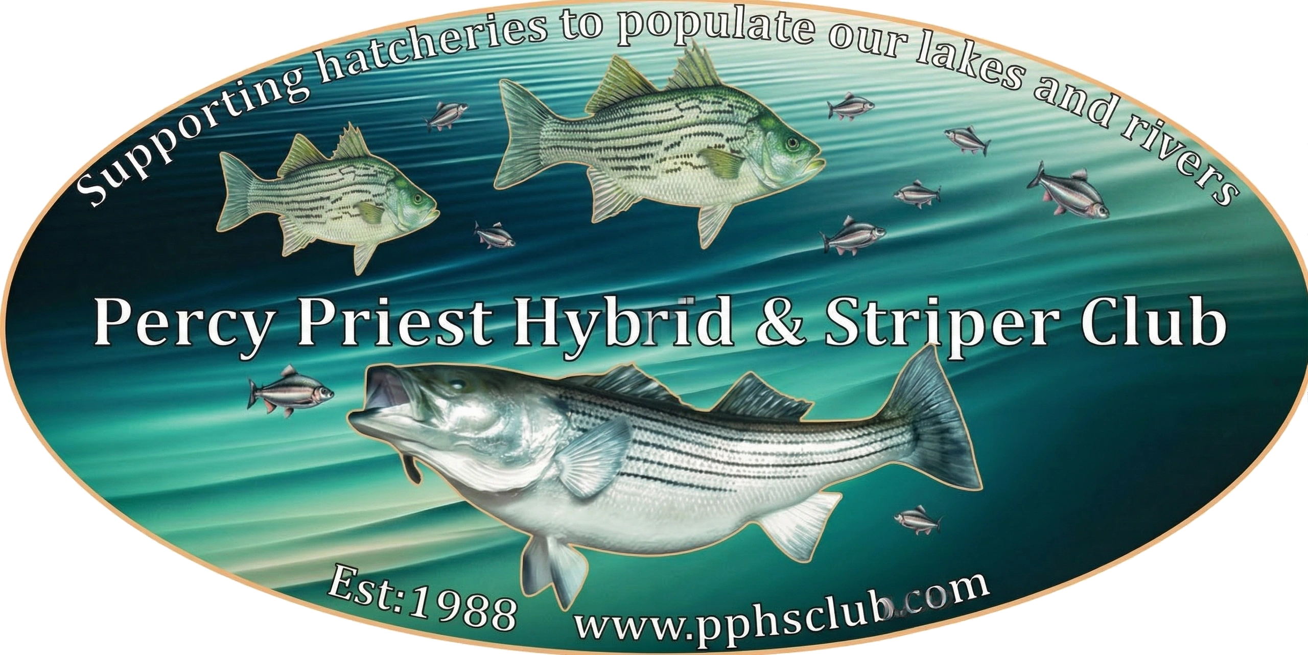 Percy Priest Hybrid and Striper Club - Fishing Competition, Fishing ...