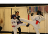 SEREFF TAEKWONDO