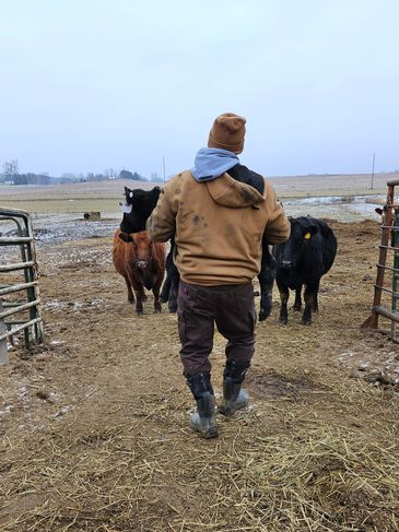 Top-Quality Beef Supplier | Brazen Beef