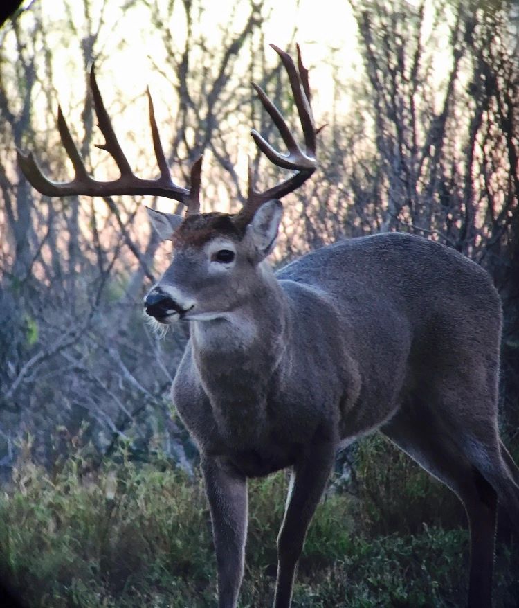 Hunt Lazy Fork Pricing | Hunt Lazy Fork