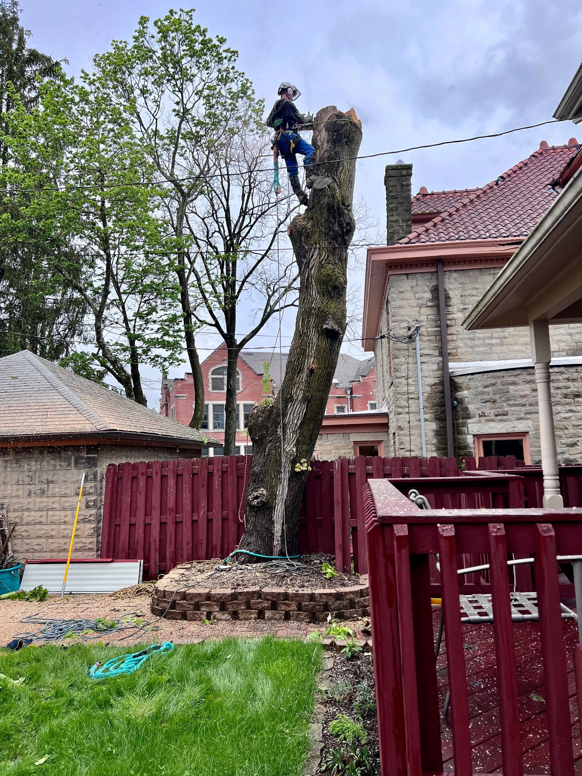ArborView Tree Service LLC