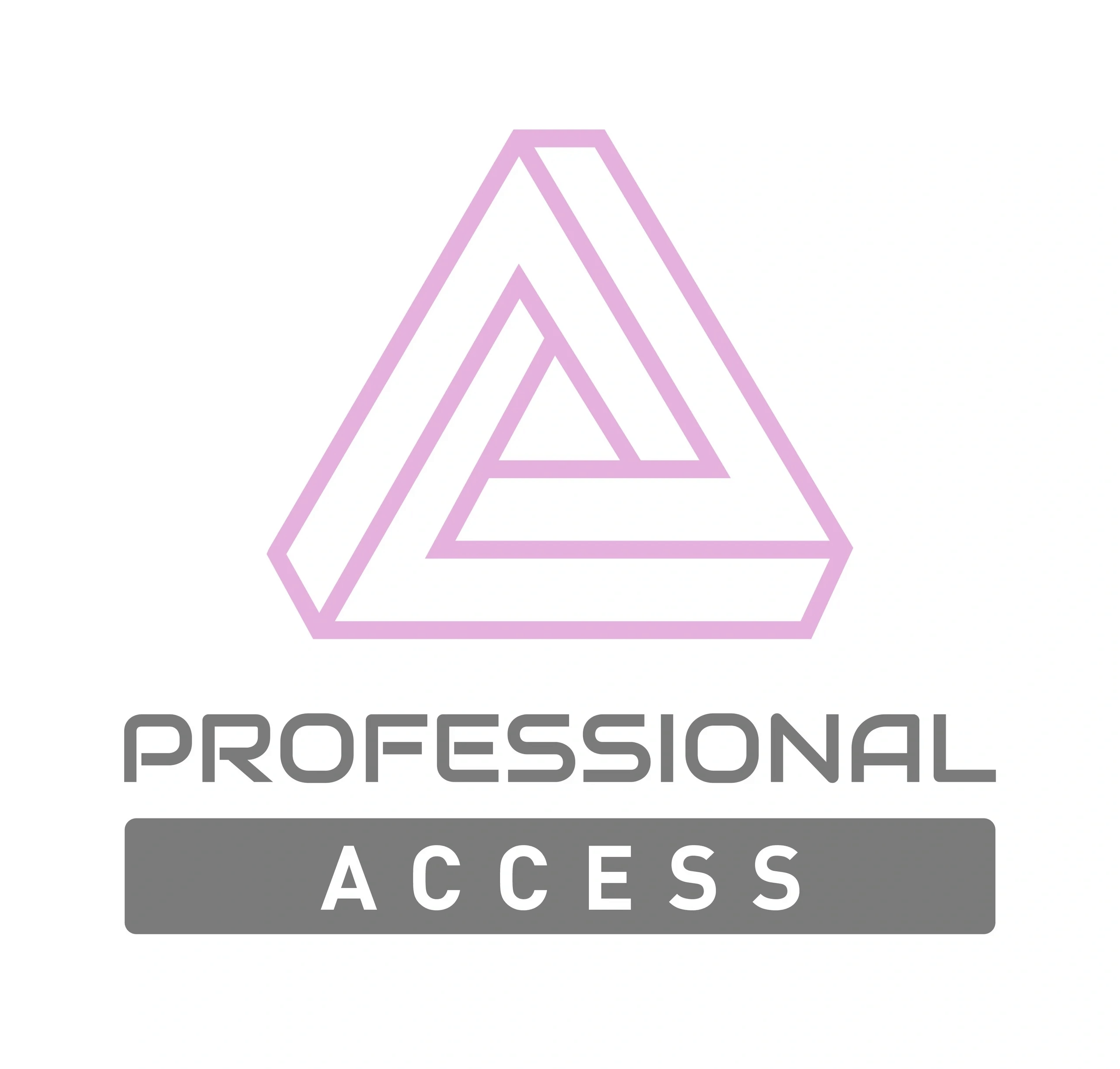 Professional Access Scaffolding