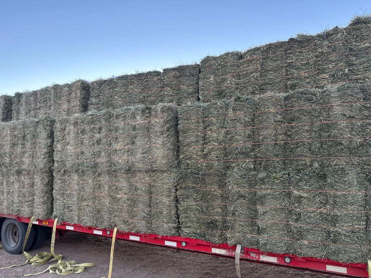 1st Grass Small Bale Bundle