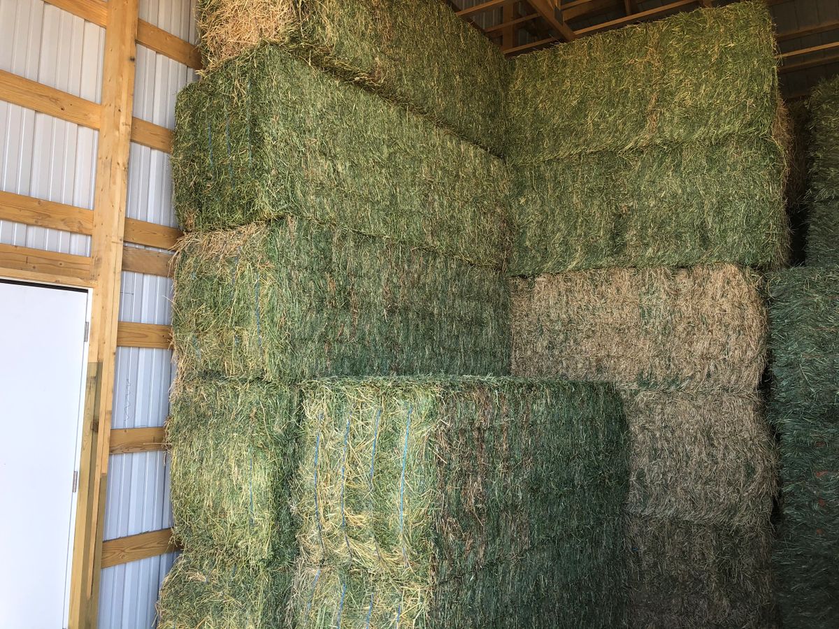 3x3 Bales