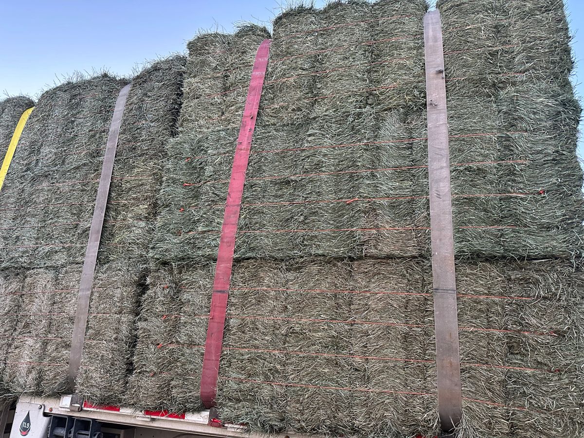 2nd Orchard/Brome Small Bale Bundle