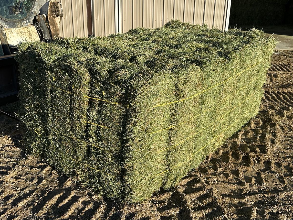 Small Bales (2 String)