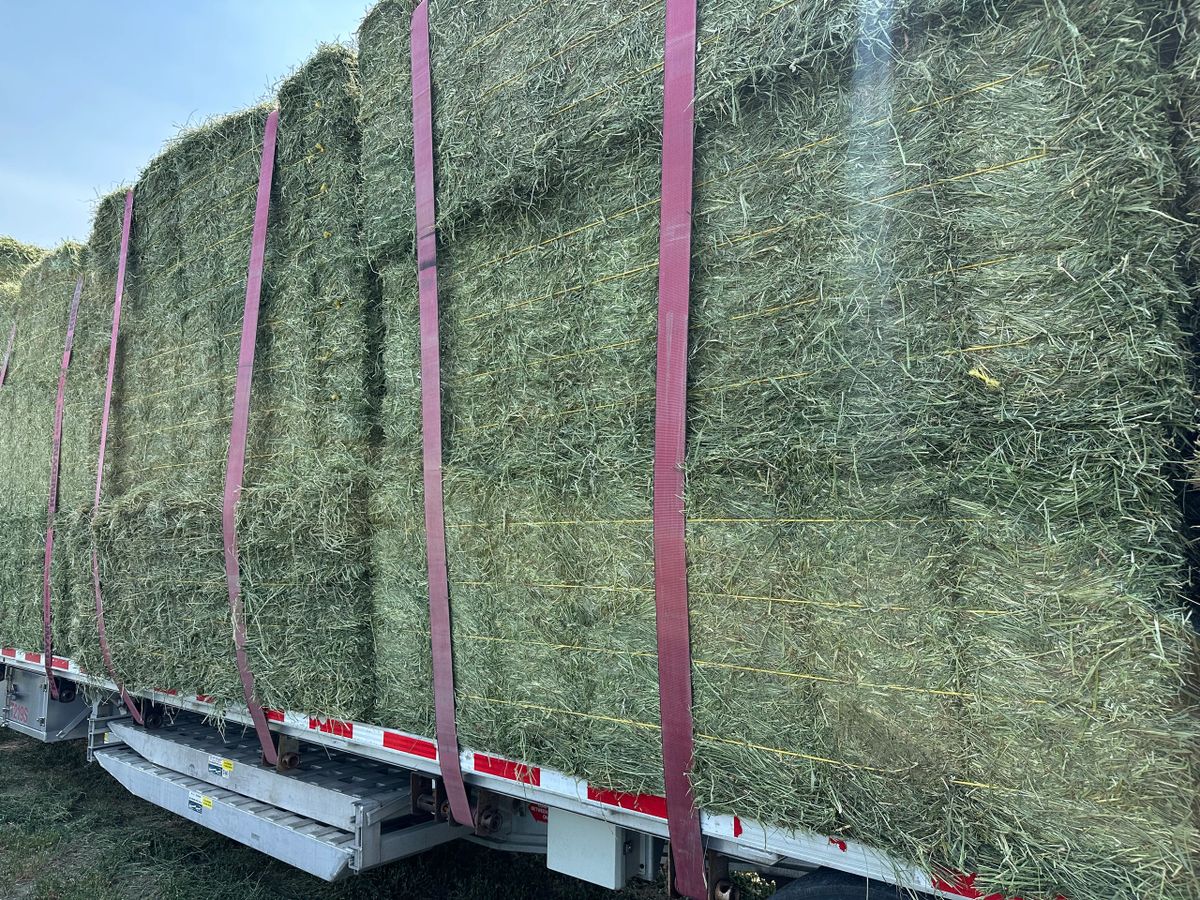 Alfalfa 1st Cutting Small Bale Bundle