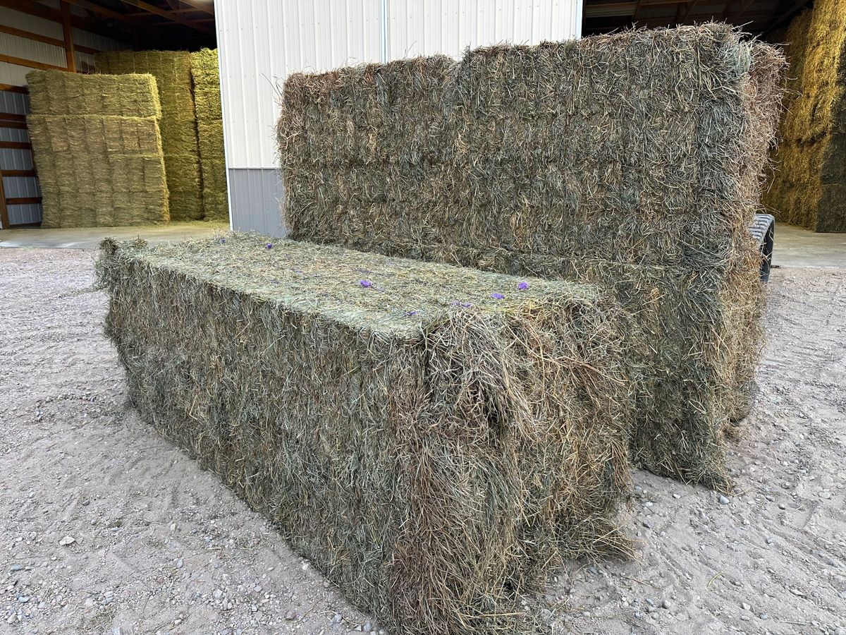 2nd Orchard/Alfalfa 70/30 Mix 3x3 Bale