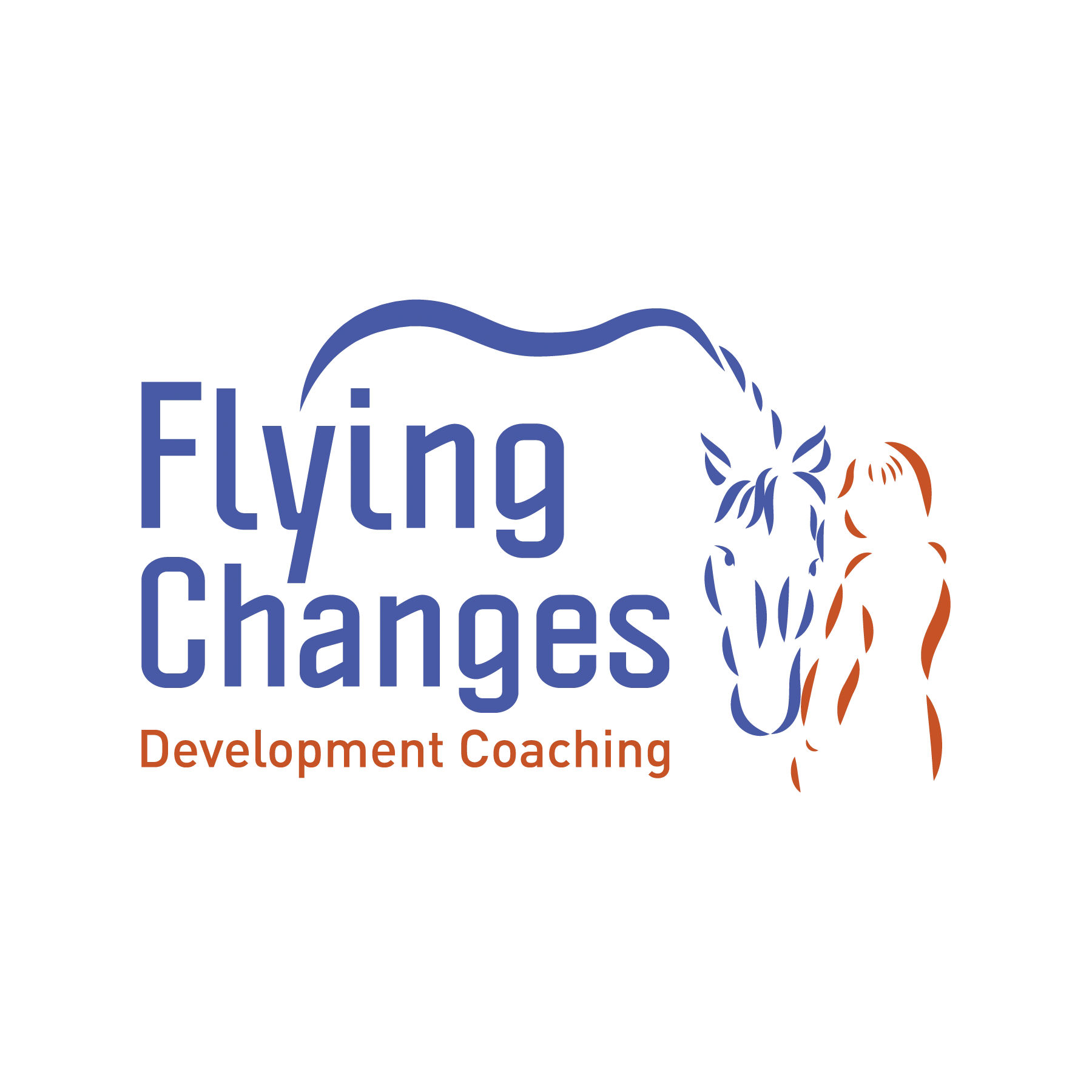 FLYING CHANGES DC