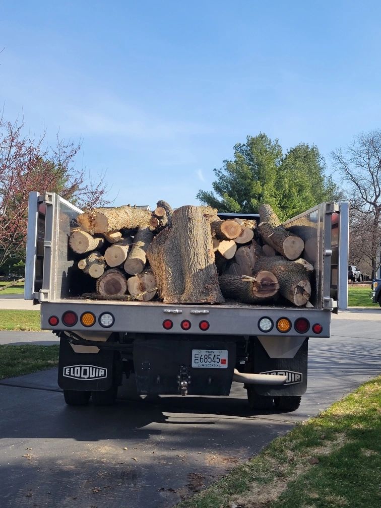 Aspen Ridge Landscaping Tree Service, Inc. - Tree Care, Landscaping