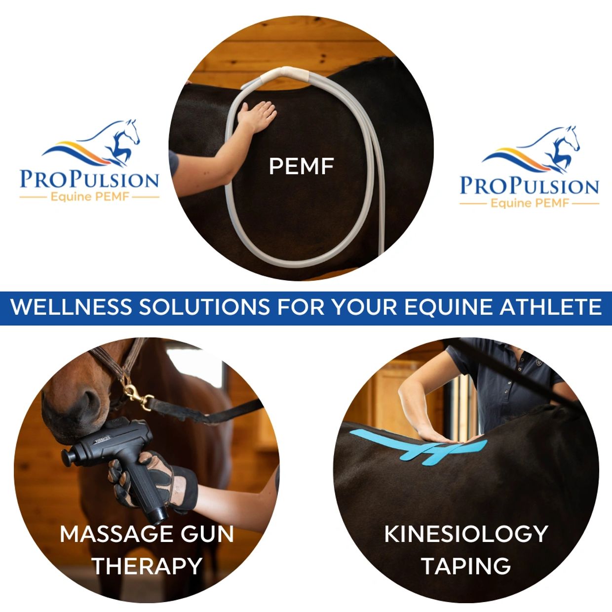 ProPulsion Equine PEMF