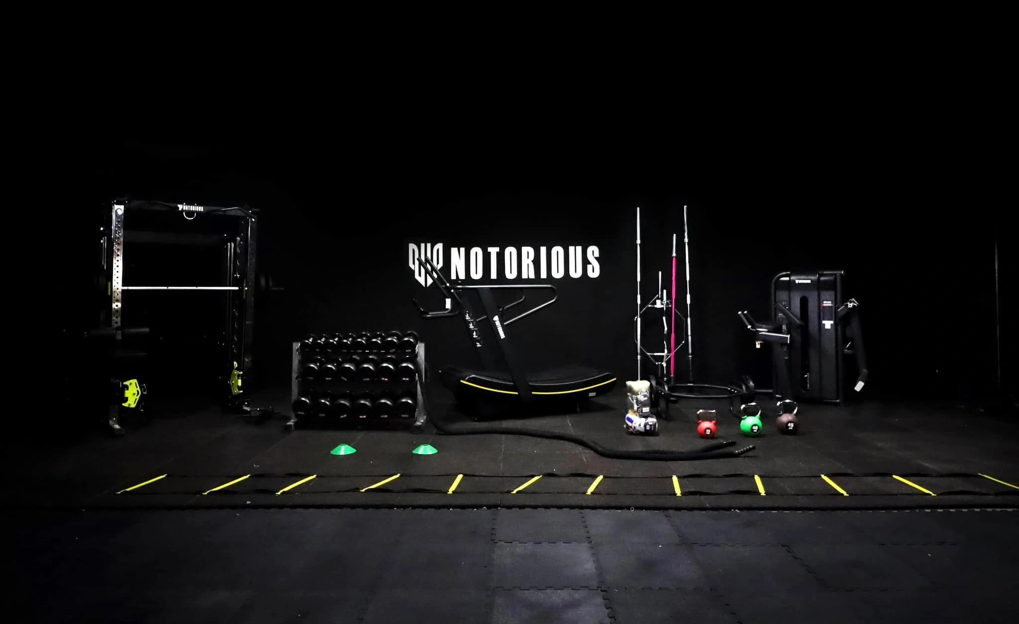 notoriousfitnessmx.com.mx