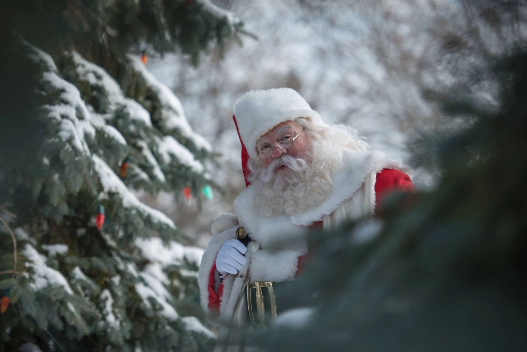 Learn More | Windsor Santa Claus