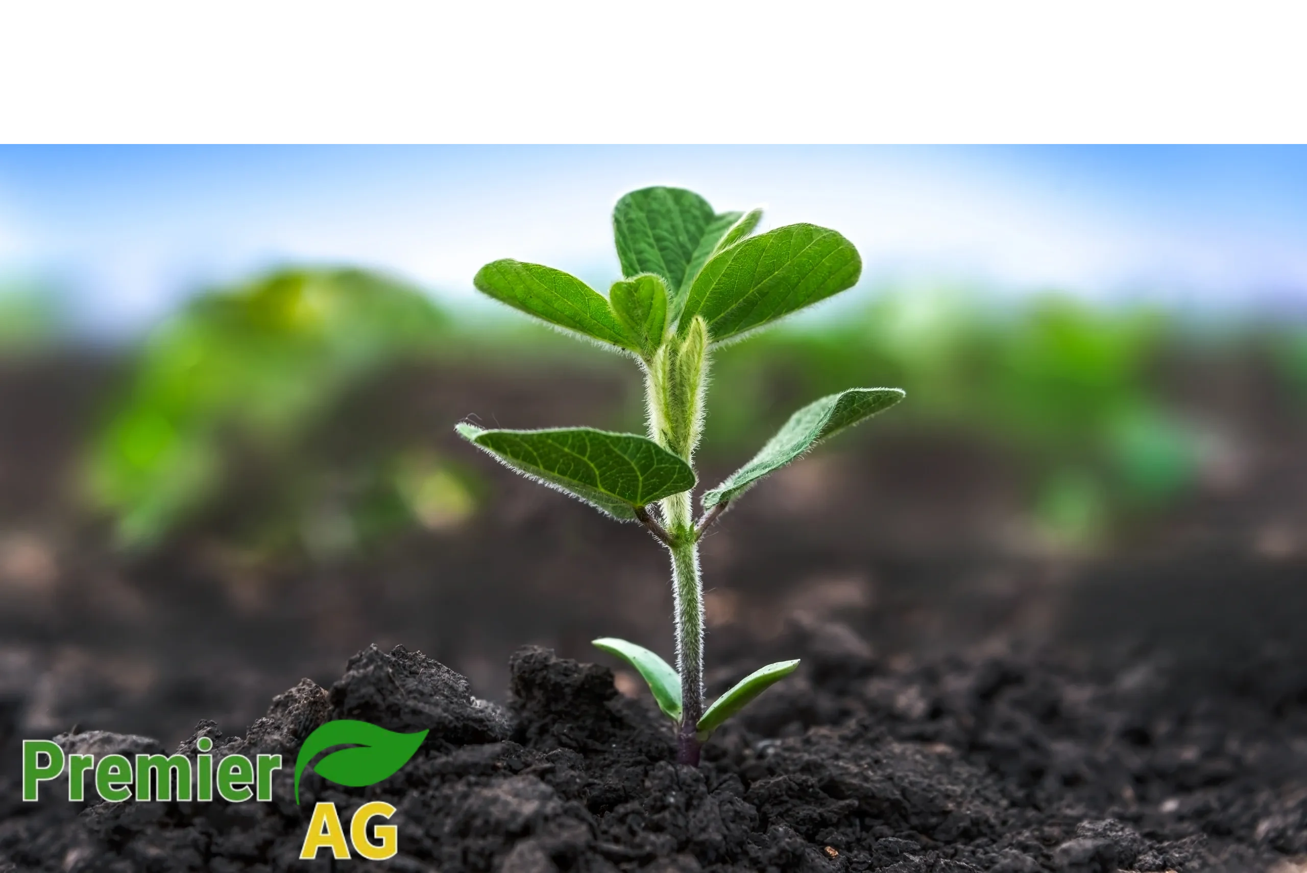 Premier Ag Products