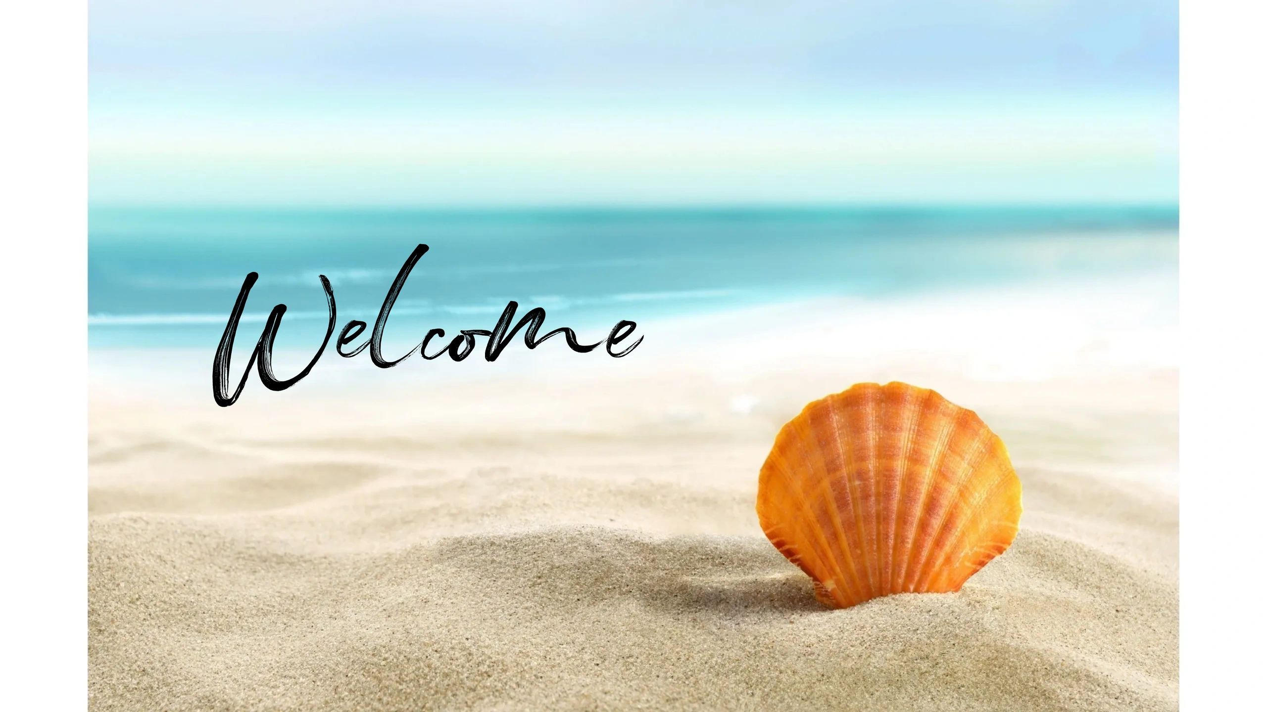 KALAM SEA SHELL MART