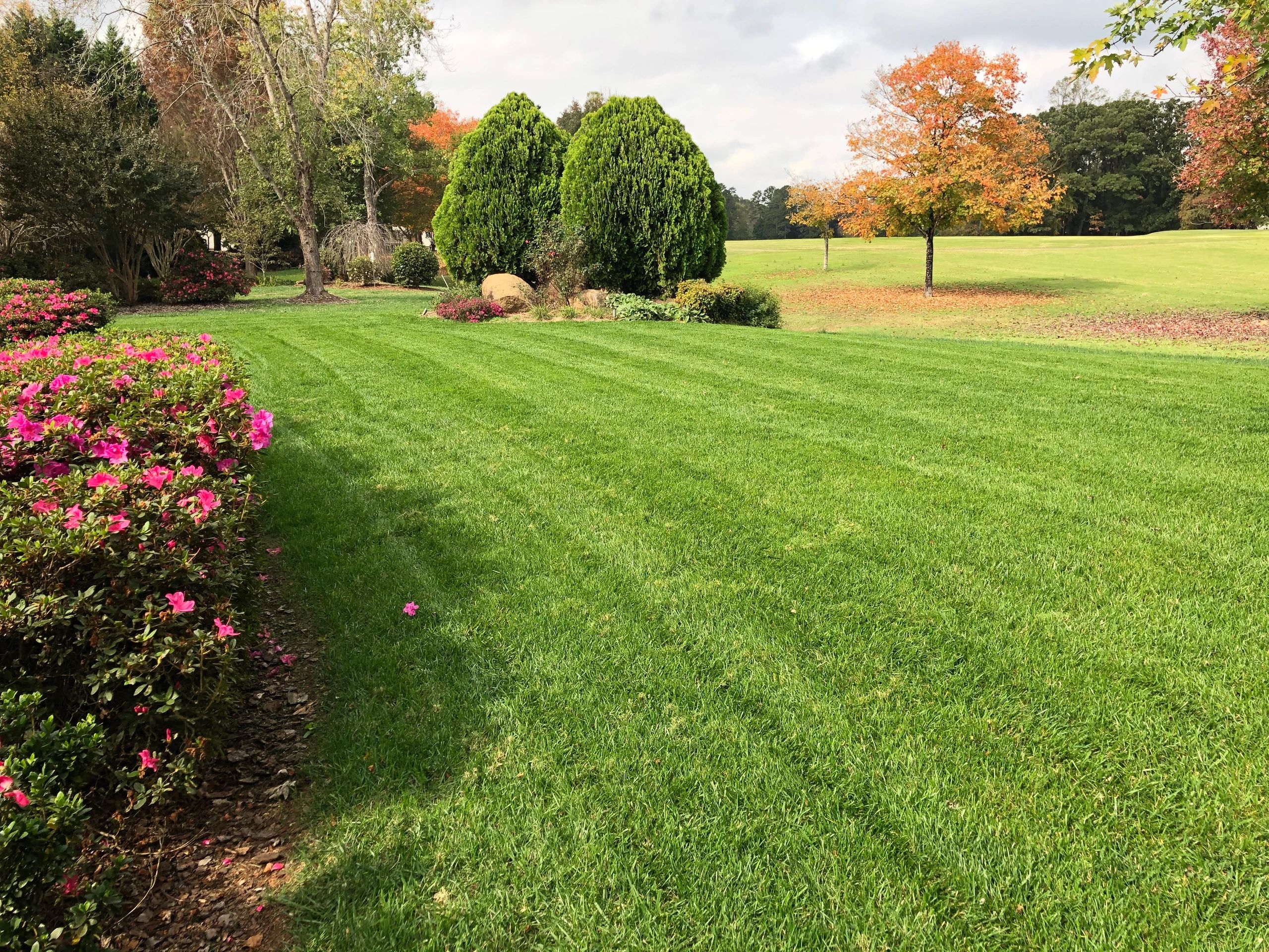 Lawn Care - Majestik Home & Lawn