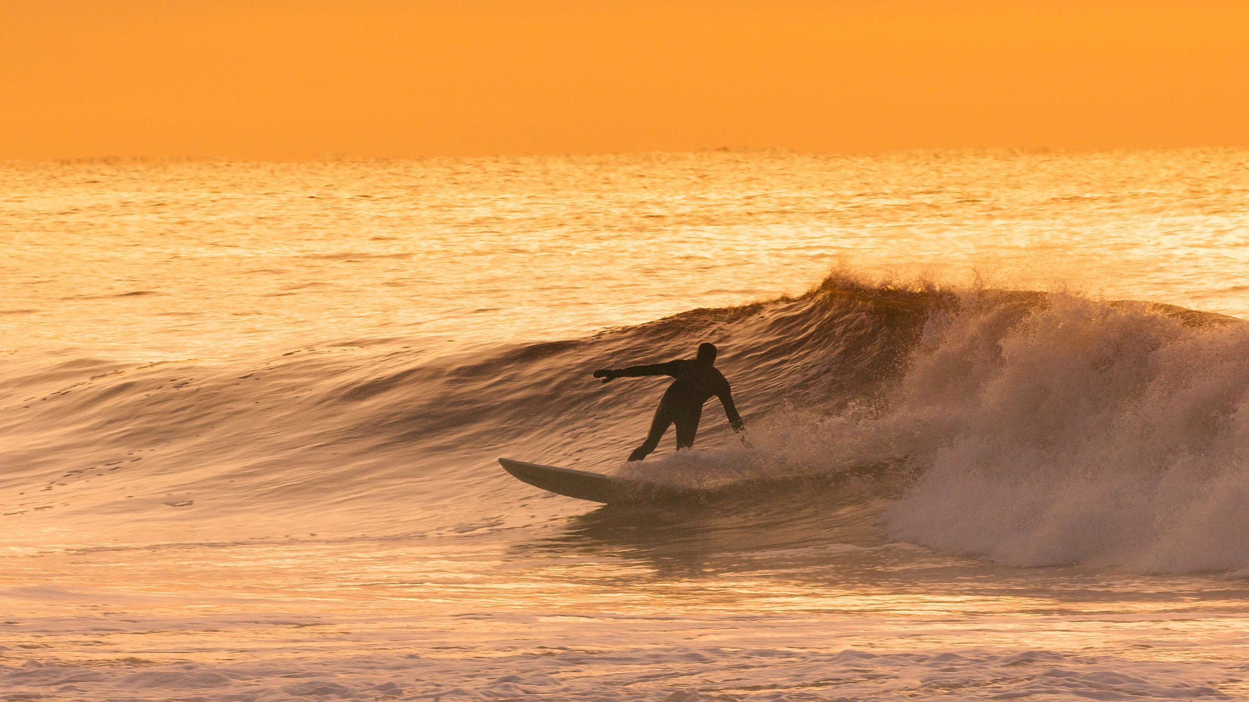 Mariner Surf Co. - Surf Shop - Saint John, New Brunswick