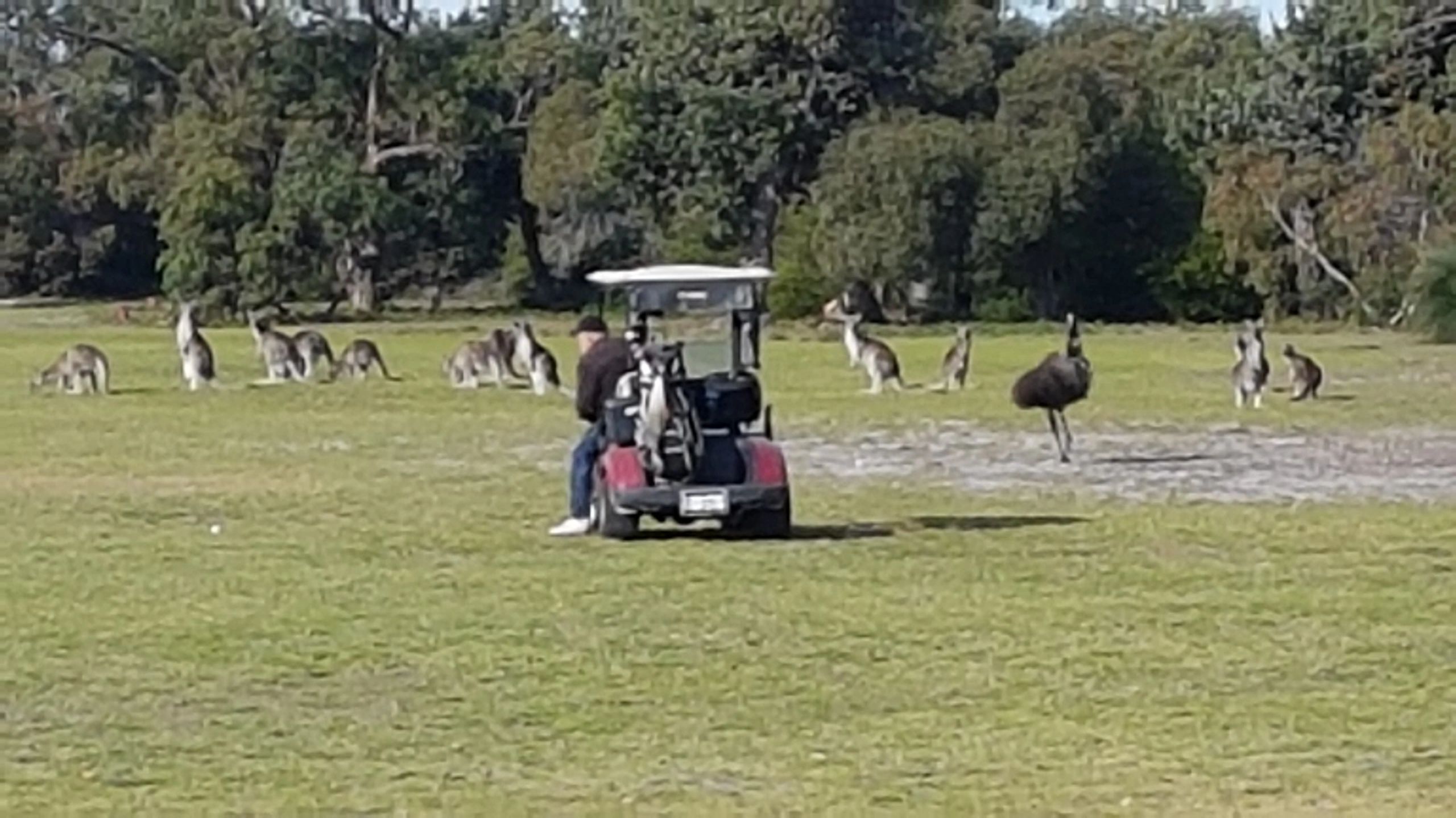 Loch Sport Golf Club - Golf Courses - Loch Sport, Victoria