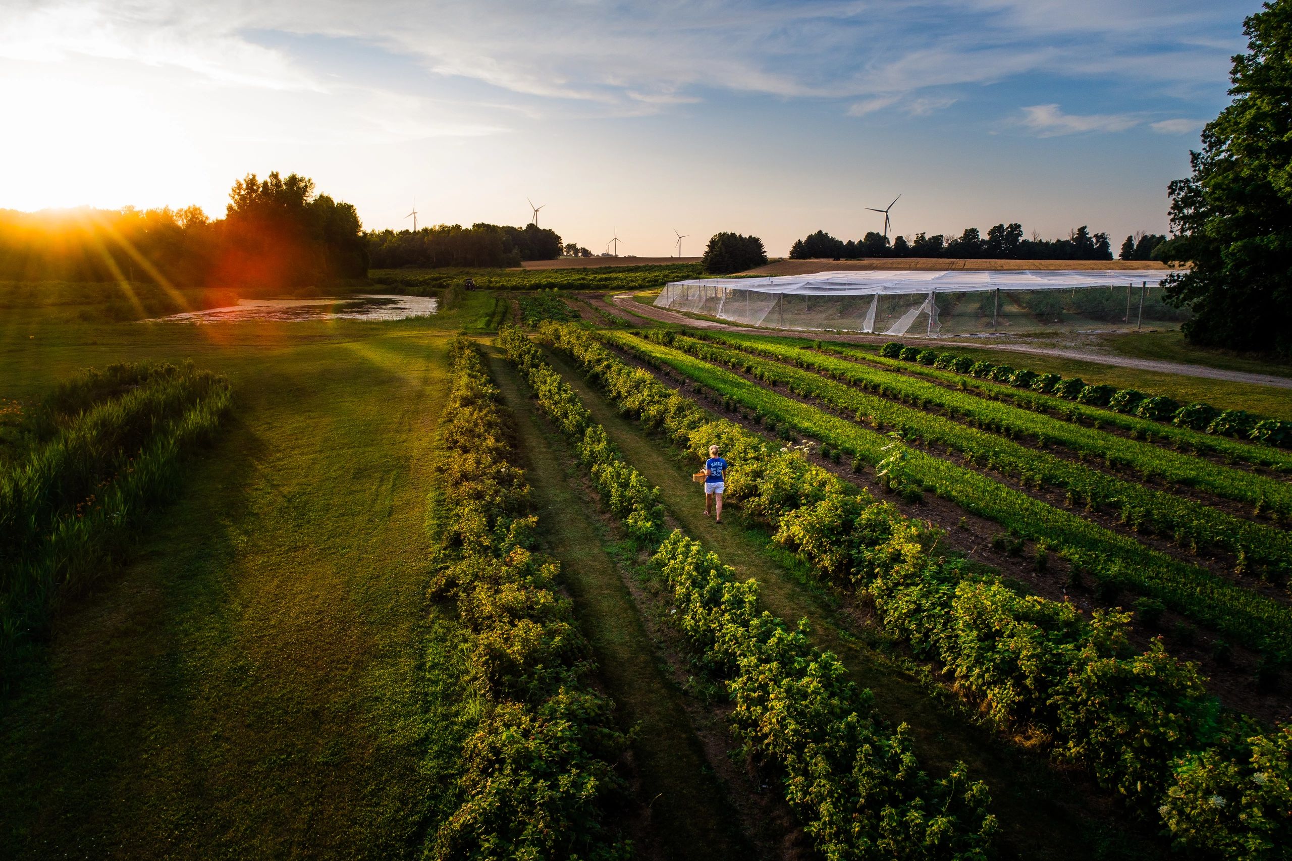 Berrylicious Fruit Farm - Family Activity, Blueberries and Raspberries ...